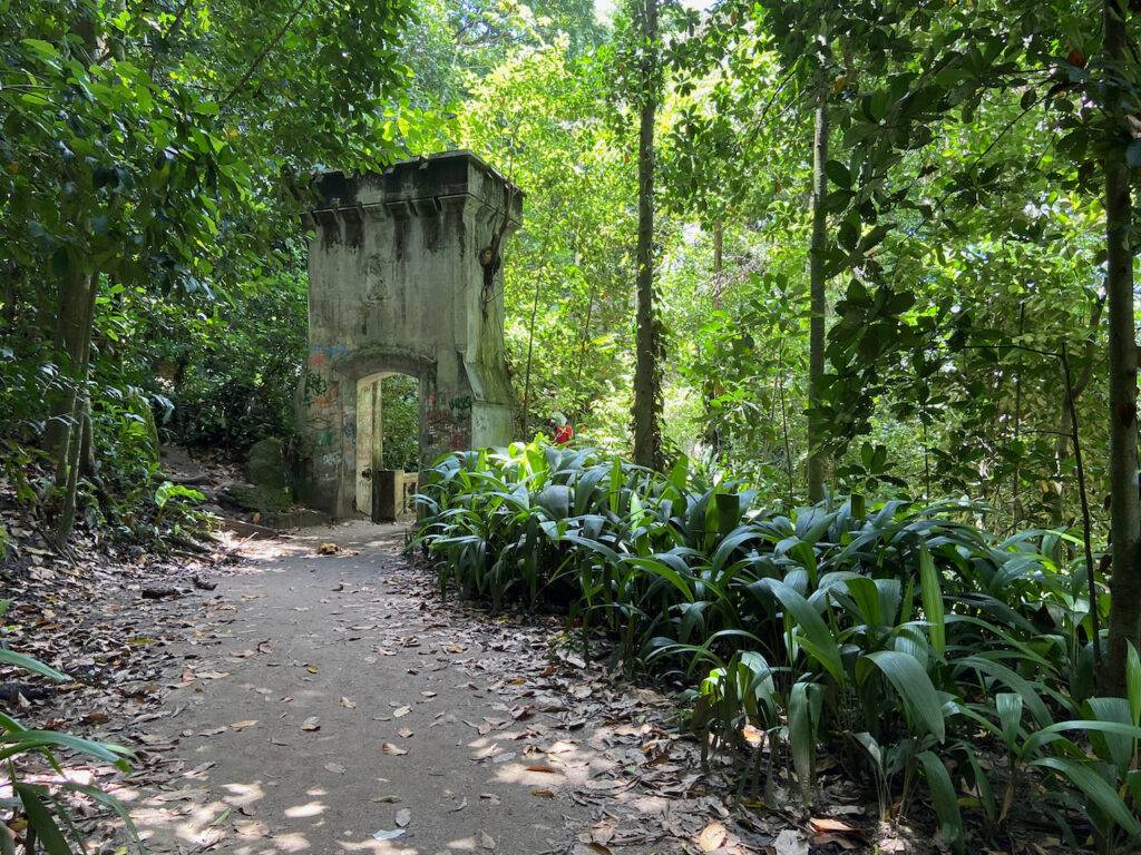 Café da manhã do Parque Lage: tudo sobre a experiência